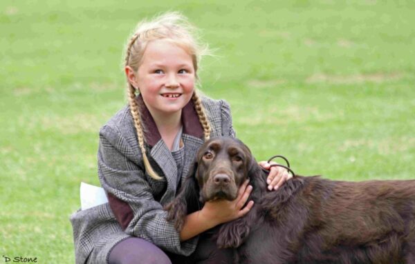 The Field Spaniel Society – Founded 1923