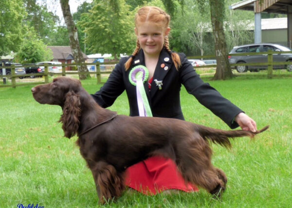 The Field Spaniel Society – Founded 1923