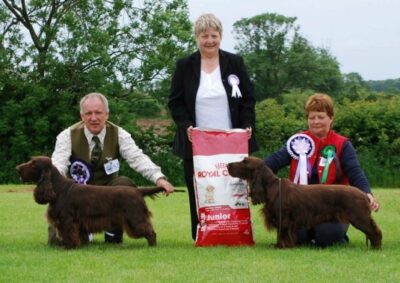 The Field Spaniel Society – Founded 1923