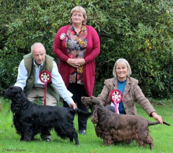 The Field Spaniel Society – Founded 1923