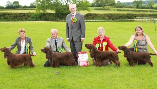 The Field Spaniel Society – Founded 1923